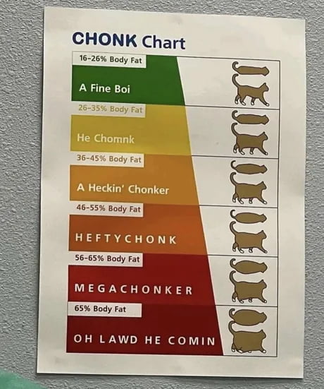 Chonk Chart - 9GAG