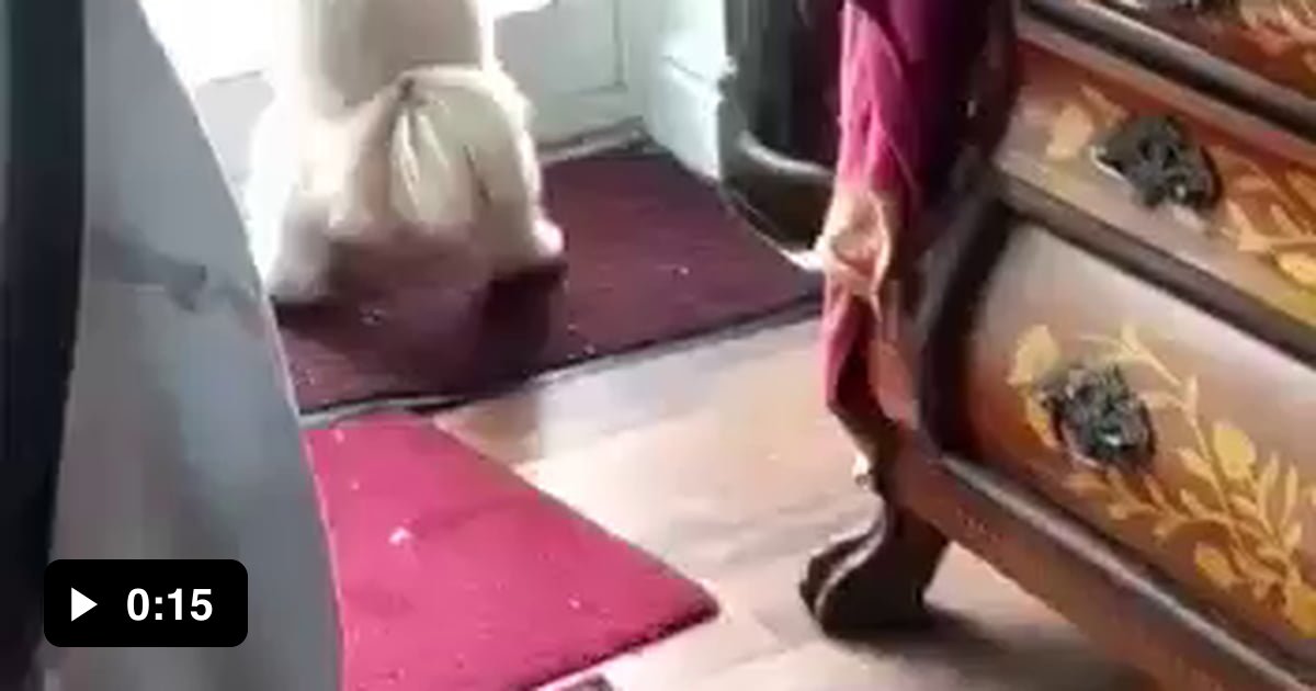 Are you stuck Step Sister? - 9GAG