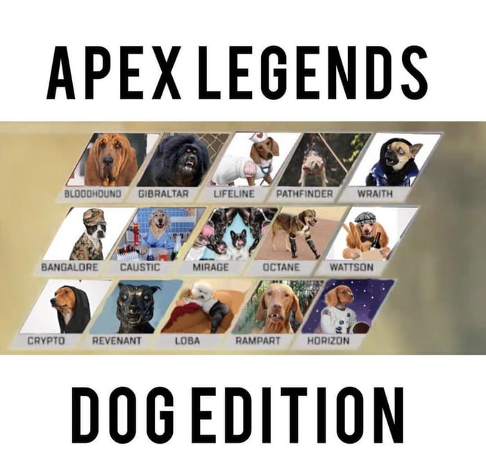 Apex: Dog Edition - 9GAG