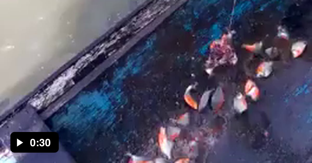 Watch those toes son! - 9GAG