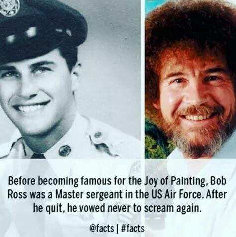 Master Sergeant Bob Ross - 9GAG