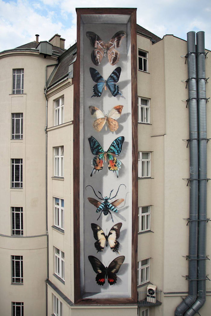 This building painted to look like mounted butterflies - 9GAG