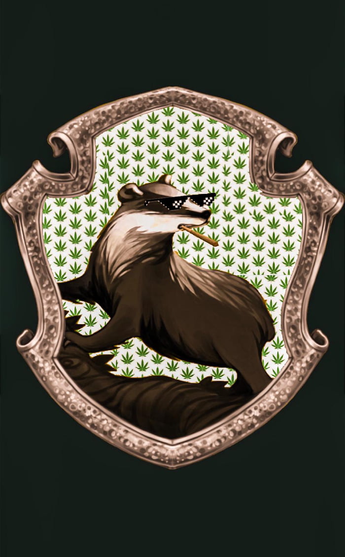 What house would Snoop Dogg be sorted into at hogwarts? Huff 'N' Puff ...