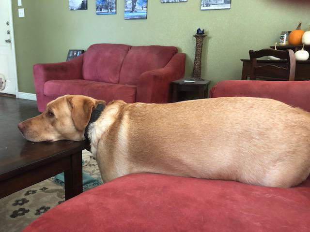 Sitting, standing, or lying down? - 9GAG