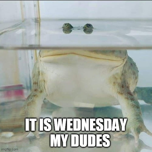 My Dudes 9gag