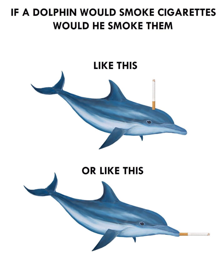 Smoking dolphin - 9GAG