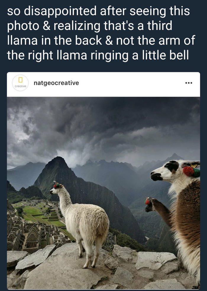 The Emperors New Groove Demon Llama