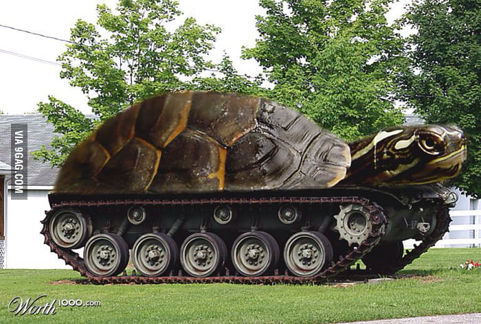 Searched turtle tank on google images for example tanks for my turtles ...