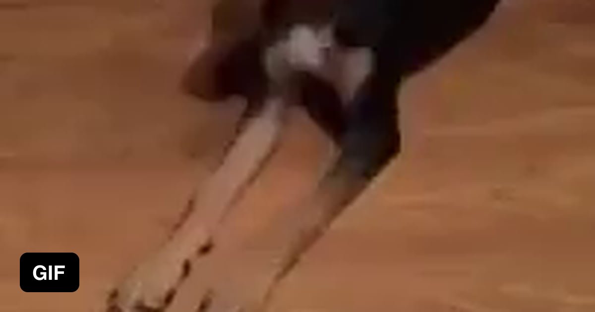 Follow the bouncing ball - 9GAG