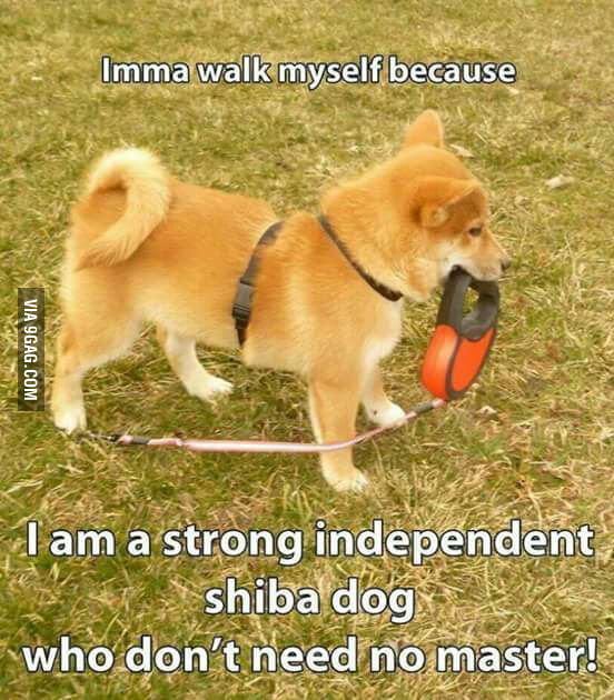 Doge doesn't need human - 9GAG