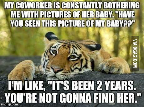 We all have that one annoying coworker - 9GAG