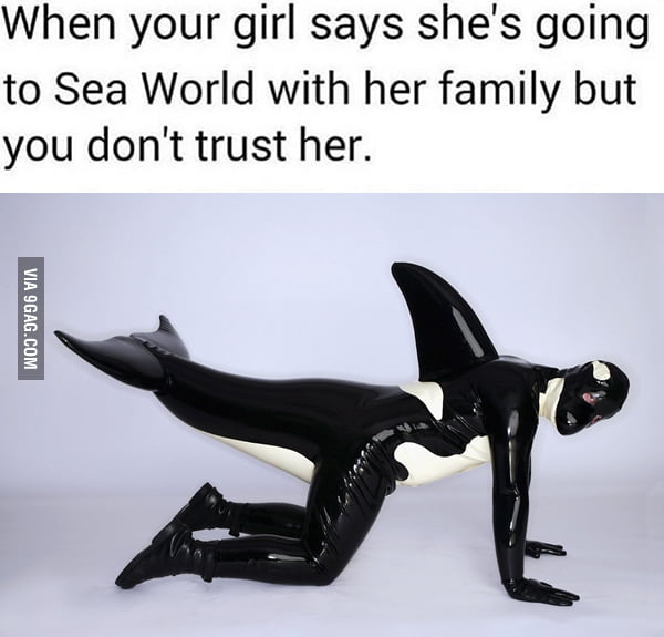 Surprise B*tch - 9GAG