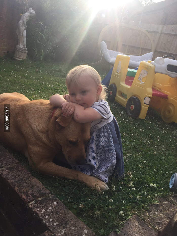 They are inseparable - 9GAG