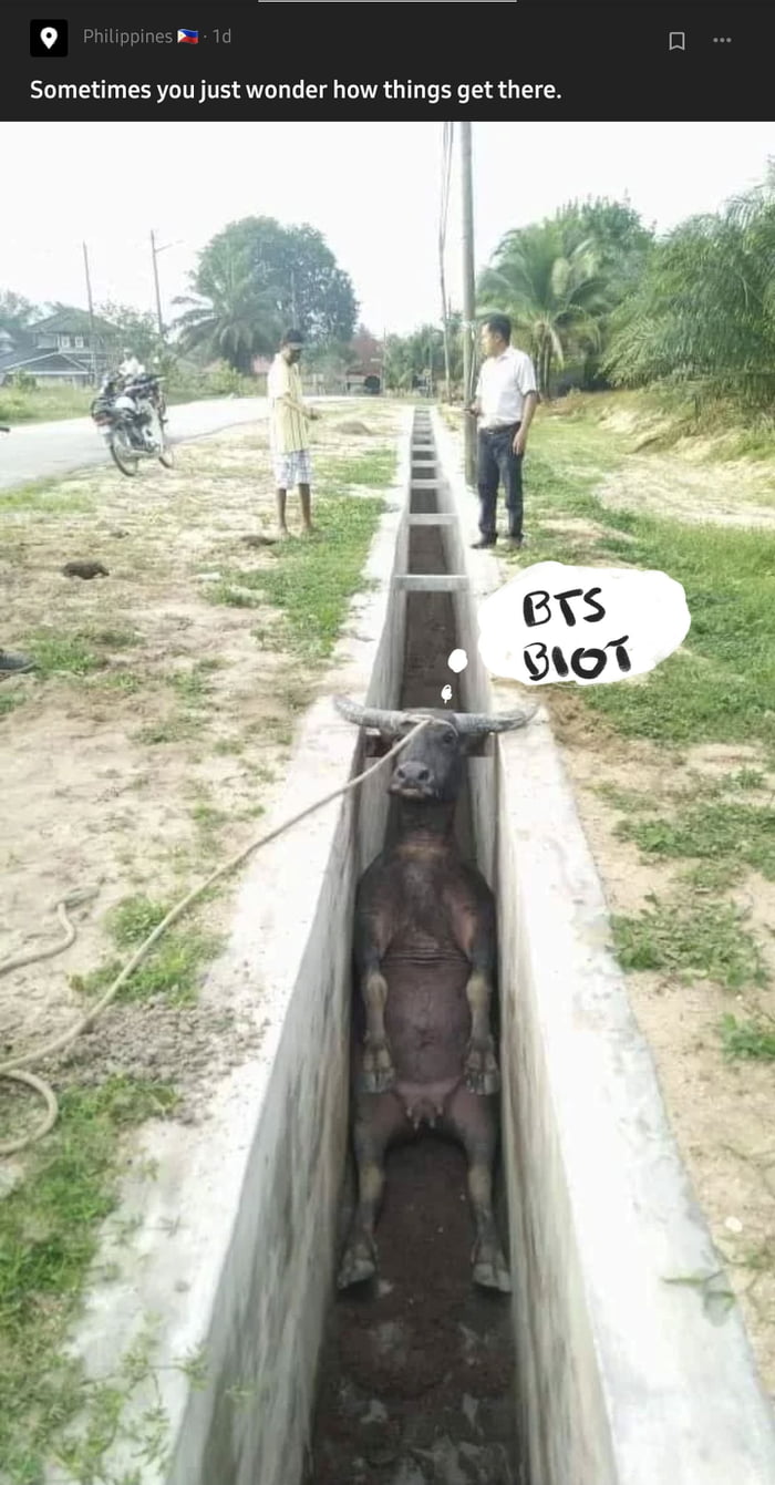 BTS BIOT - 9GAG