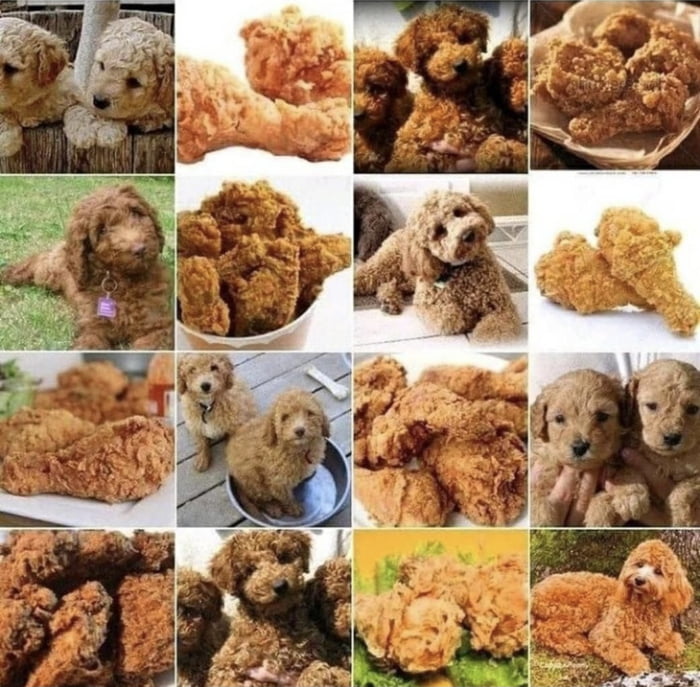 How To Confuse Machine Learning 9GAG How To Confuse Machine Learning 9GAG