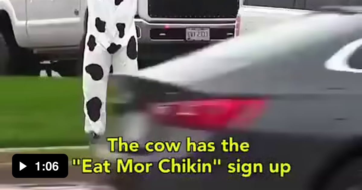 CHICKEN VS COWS, WHO WINS? - 9GAG