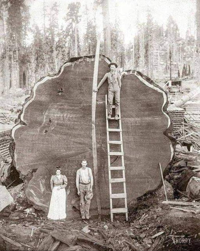 Mark Twain National Forest People pose in front of the 1,300-year-old ...
