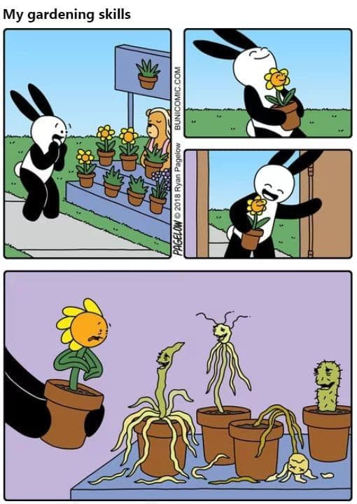 It takes dedication to kill a cactus - 9GAG