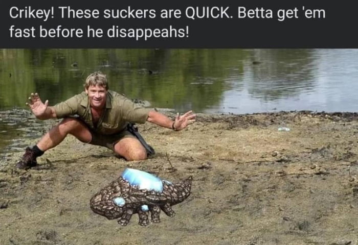 Steve Irwin! The Crystal Lizard Hunter - 9GAG