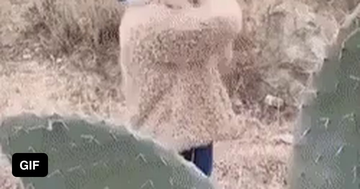 Tries to cut cactus with a baseball bat - 9GAG