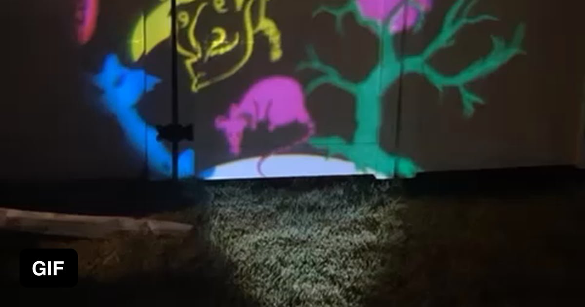 Is a 200 day streak good or bad? - 9GAG