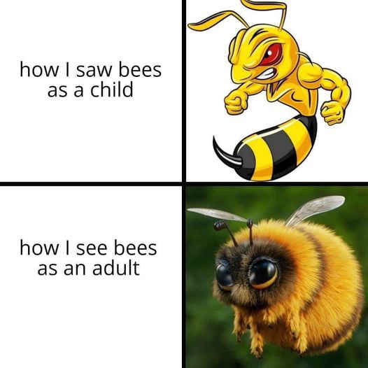 Bees - 9GAG