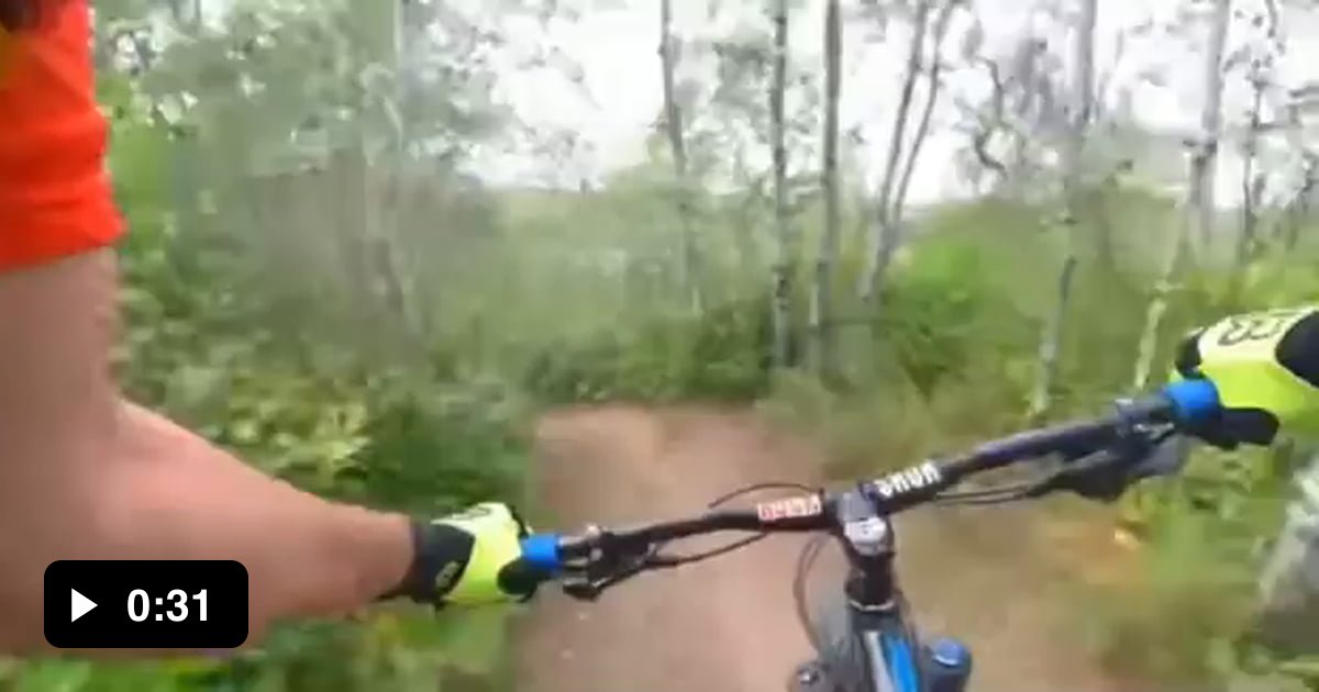 Not your every day encounter in the forest! - 9GAG