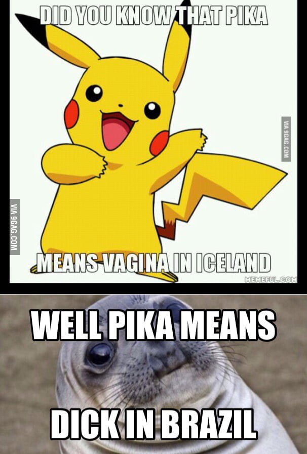 For the guy who posted this, I raise you pika in brazil... - 9GAG