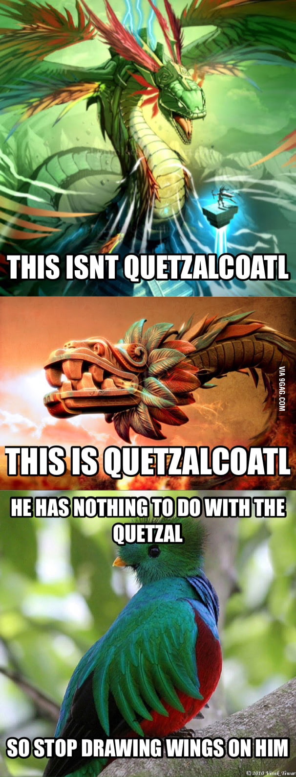 Quetzalli= pretty feathers/beautiful. Coatl= snake - 9GAG