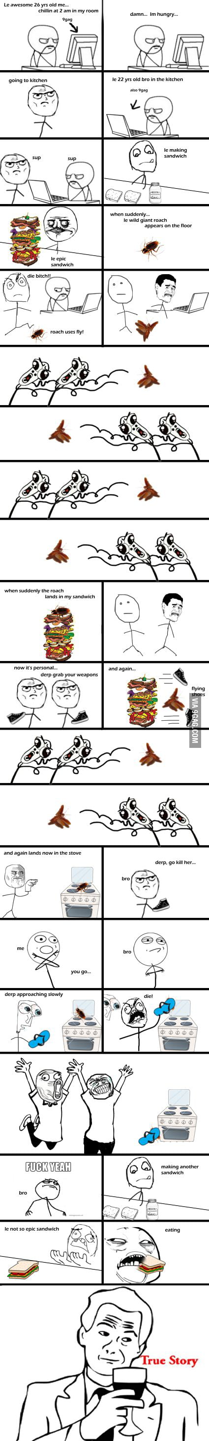 We are all brave until the roach fly. - 9GAG