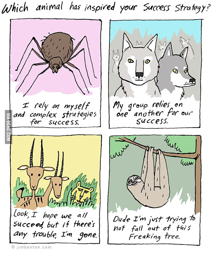 Which Animal Has Inspired Your Success Strategy? - 9GAG