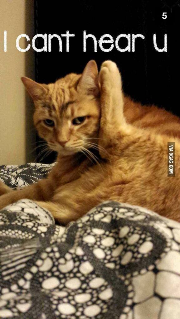 The best snap I've ever taken - 9GAG