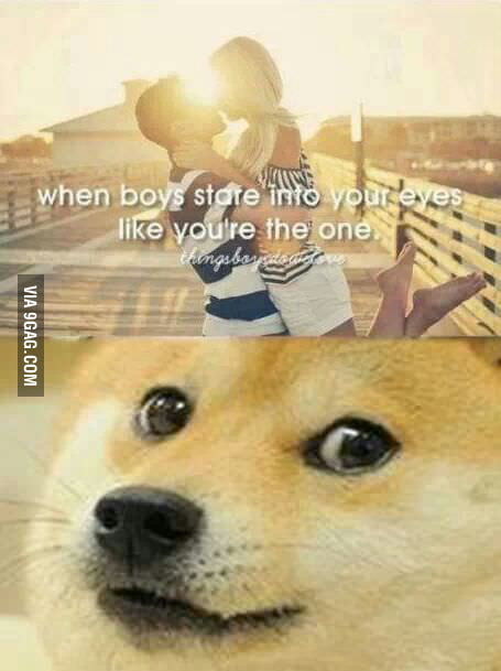 Wow. so doge. wow. - 9GAG