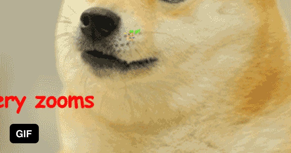 Such gif, wow - 9GAG