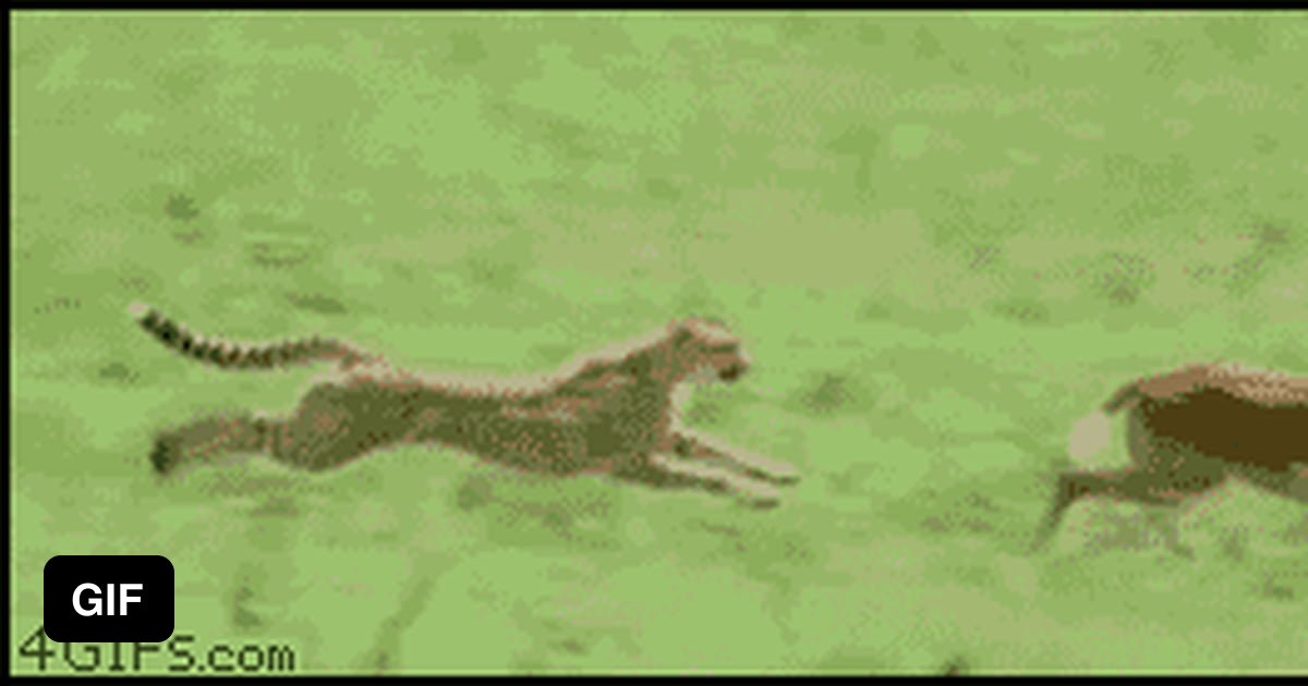 Oh deer, epic fail... - 9GAG