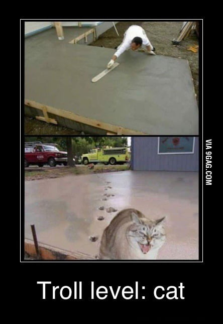 Troll cat - 9GAG