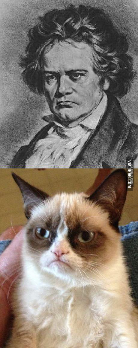I think Beethoven has reincarnated as Grumpy Cat - 9GAG