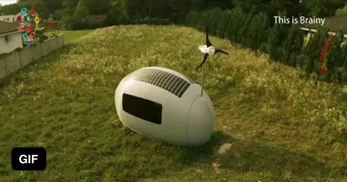 If you need me I will be in my....umm shell? - 9GAG