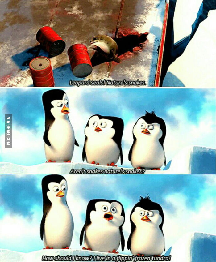Skipper being Skipper.. - 9GAG