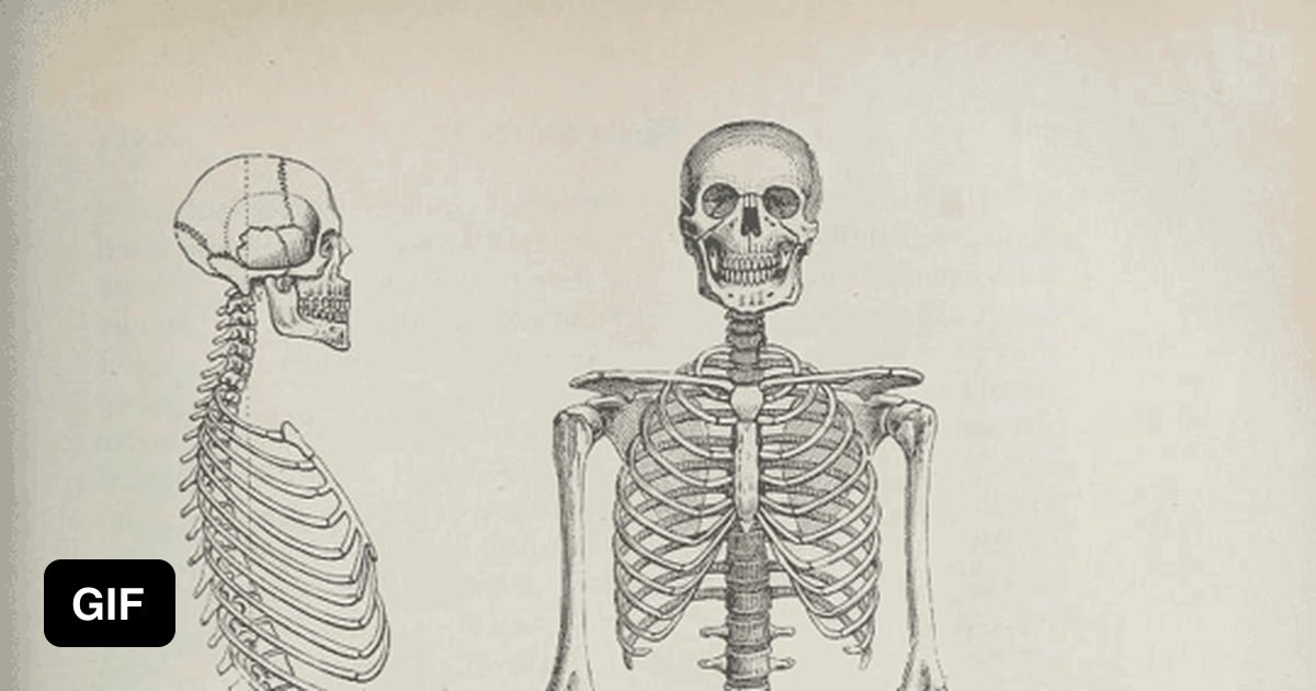 Dancing skeleton - 9GAG