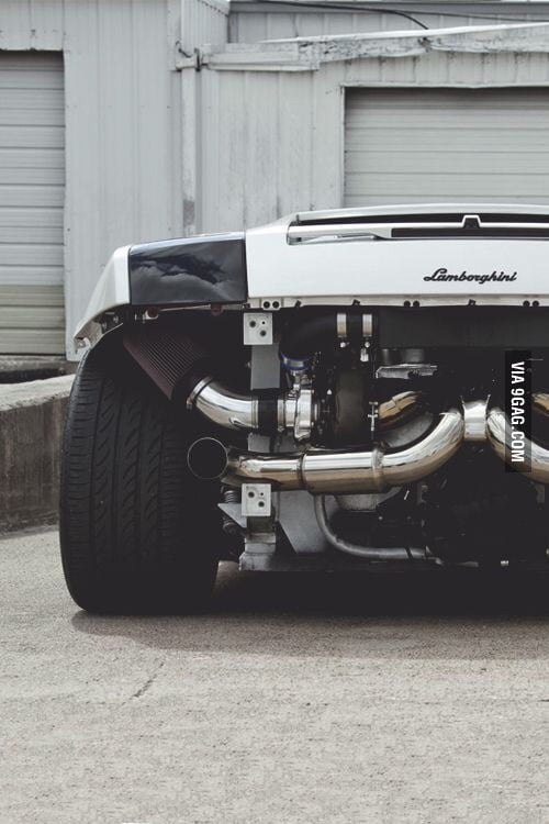 That Ass 9gag 8153