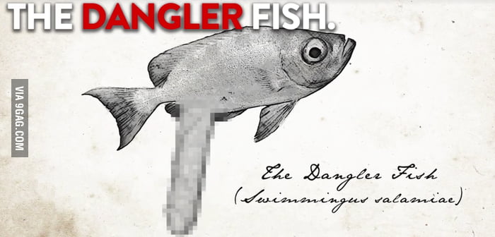 Let's welcome, Dangler Fish, aka dickfish - 9GAG