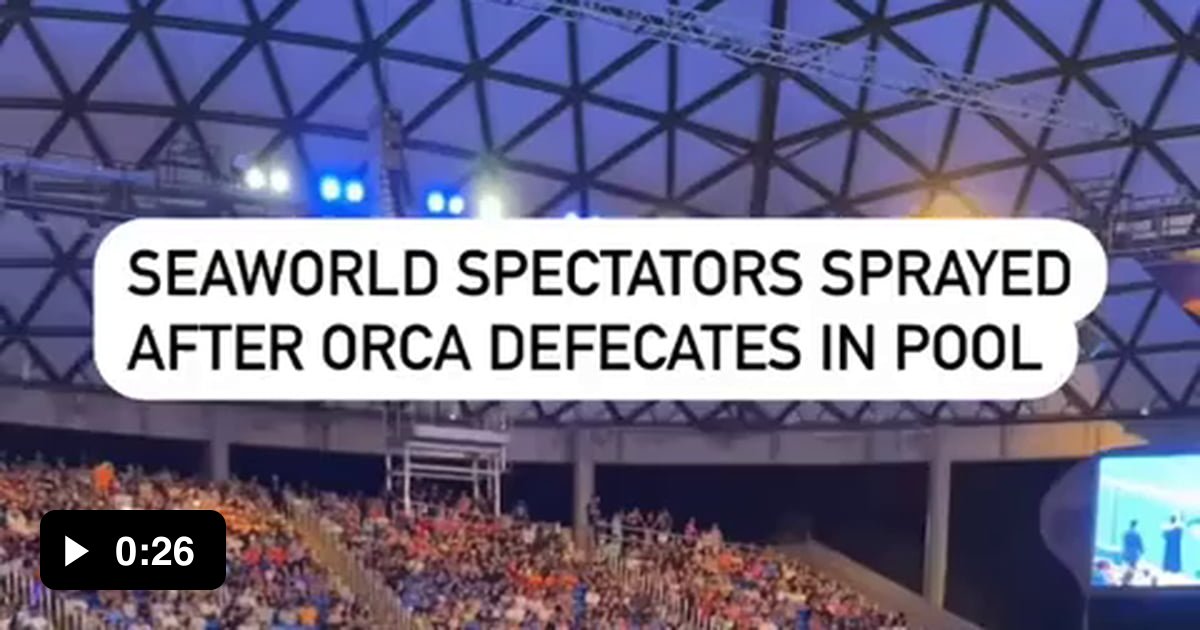 SeaWorld orca splashes poop-filled water at horrified audience - 9GAG