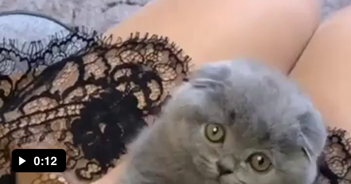 This is so cute! - 9GAG