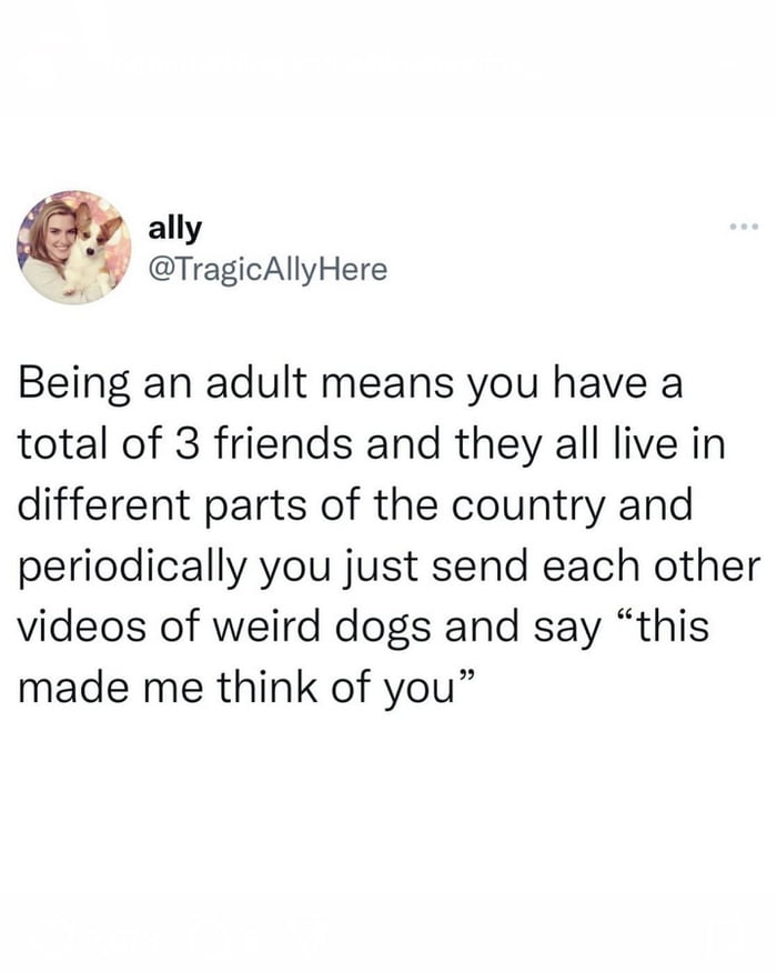 Peak adult friendship goals. - 9GAG