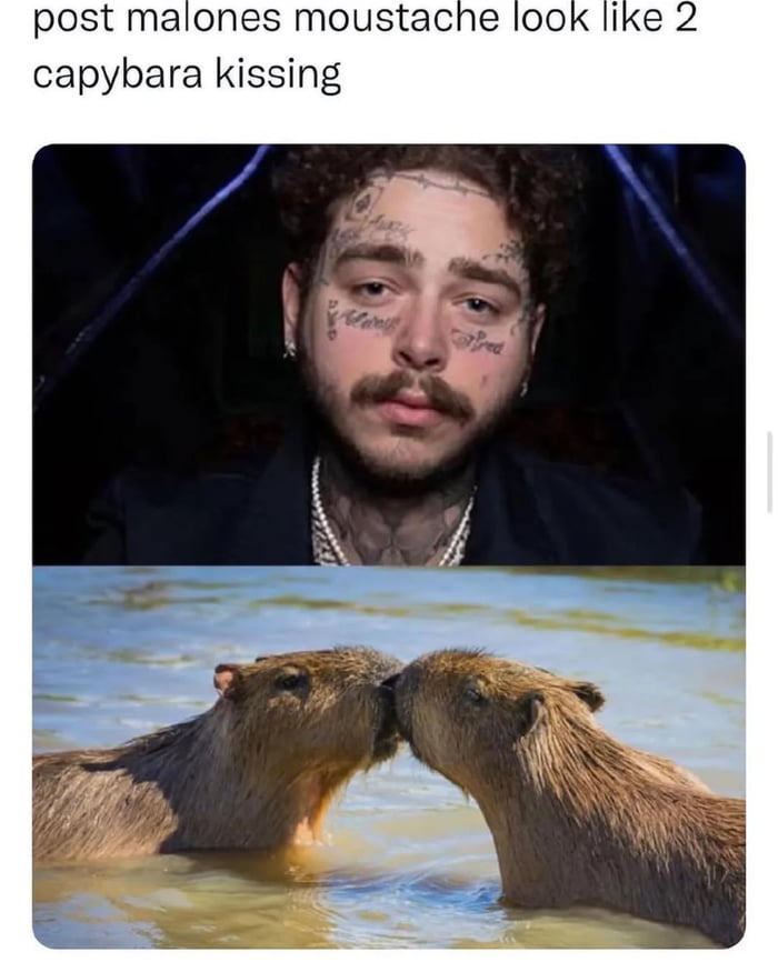 Okay, now I cannot unsee this. - 9GAG