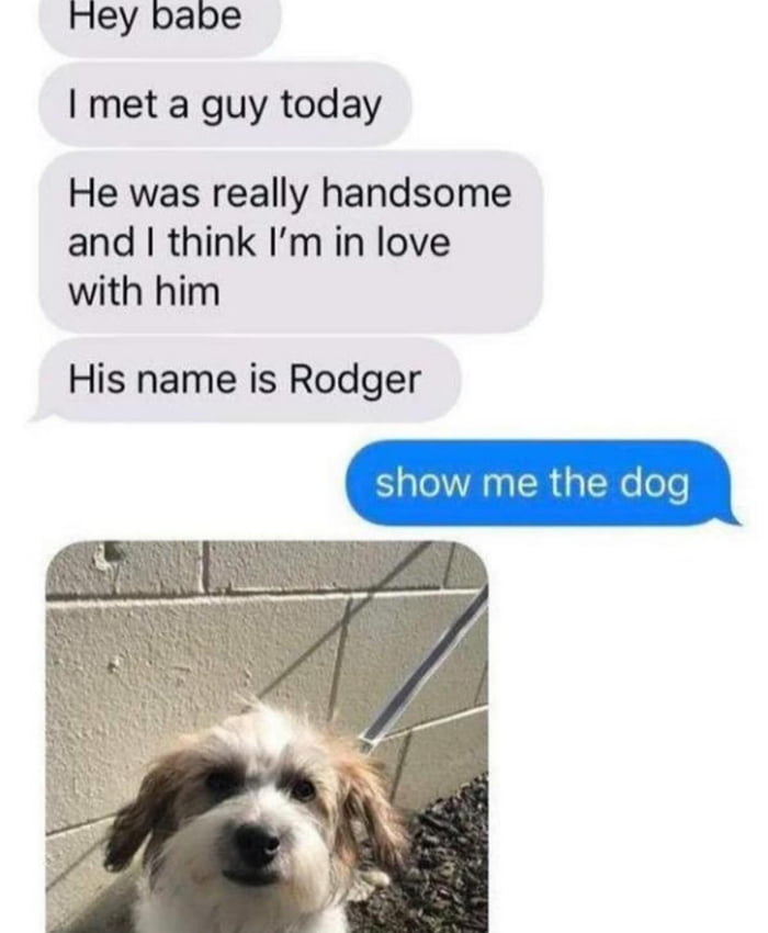 Plot twist: Rodger is a very good boy. - 9GAG
