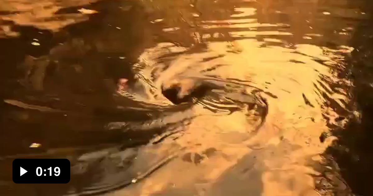 Nature's powerful drain captured from below - 9GAG