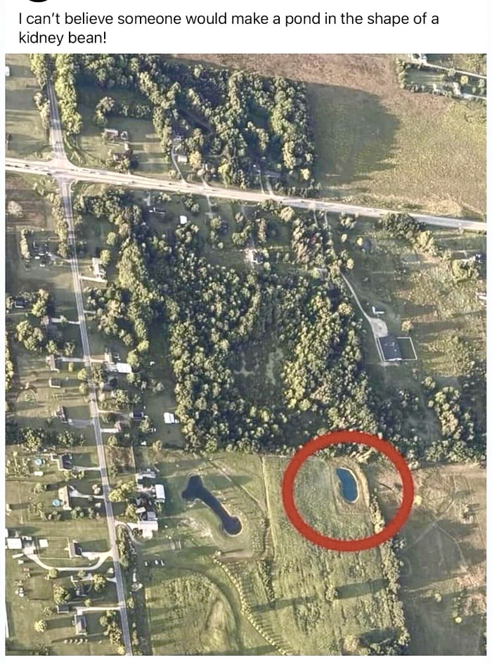 It's my swimming pool - 9GAG