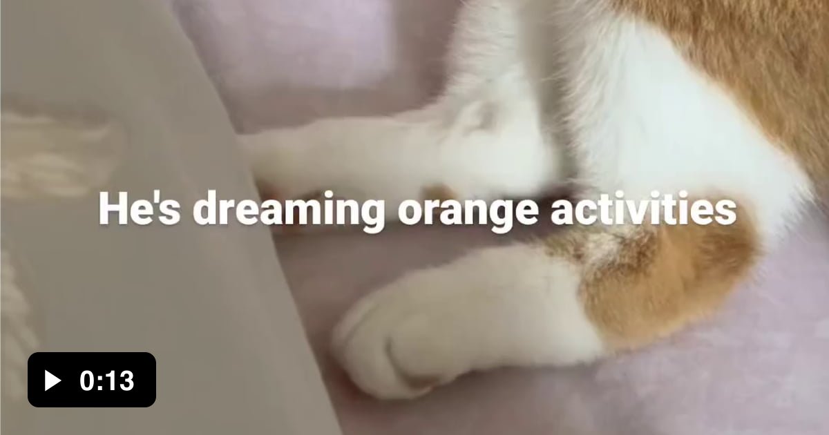 Orange car behavior. - 9GAG